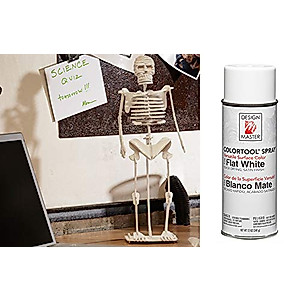 Design Master Spray, Flat White, 12 oz