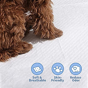 BinetGo Puppy Pads Disposable Puppy Training Pads 13" x 18" -100 Count Puppy Pads | Premium Puppy Potty Training Pads，Potty Pads Bed Pads, Underpads Ultra Absorbent Incontinence Pet Training Pads