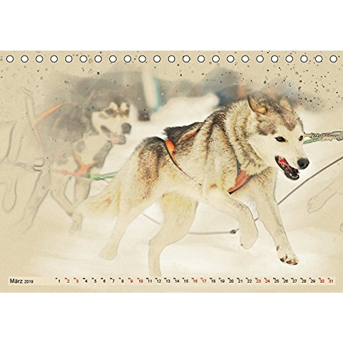 Schlittenhunde 2019 (Tischkalender 2019 DIN A5 quer): Der Kalender ist im kunstvollen Aquarell-Stil gehalten, so dass jedes einzelne Bild einem kleinen Kunstwerk gleicht. (Monatskalender, 14 Seiten )
