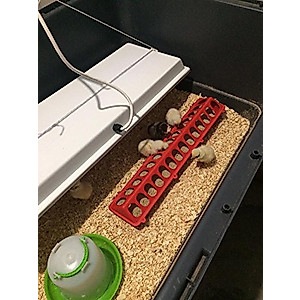 SWEETER HEATER Infrared Heater for Chicks & Pets, Flush Mount 11x40, 150 Watt