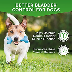 Premium Care Cranberry Bladder Chews - Dog Supplements for Urinary Tract (UT) Health, Bladder and Kidney Support - Cranberry Chewables with Vitamins for Better Bladder Control for Dogs - 120 Chews