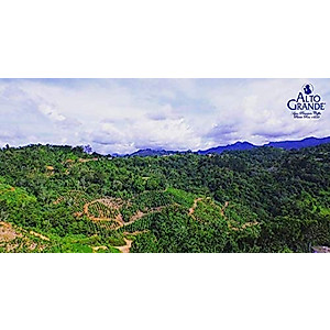 Alto Grande Super Premium Coffee Ground, Single Origin, Puerto Rico, 8.8 Ounce Canister