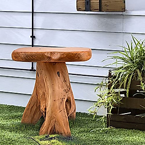 HOEGMST Small Side Table, Unique Design Live Edge Wood Stool, Freeform Natural Plant Stand for Garden, Yard, Living Room, Bedroom