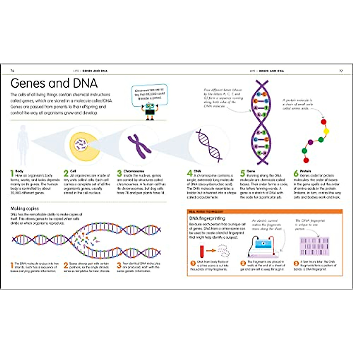How to Be Good at Science, Technology, and Engineering (DK How to Be Good at)