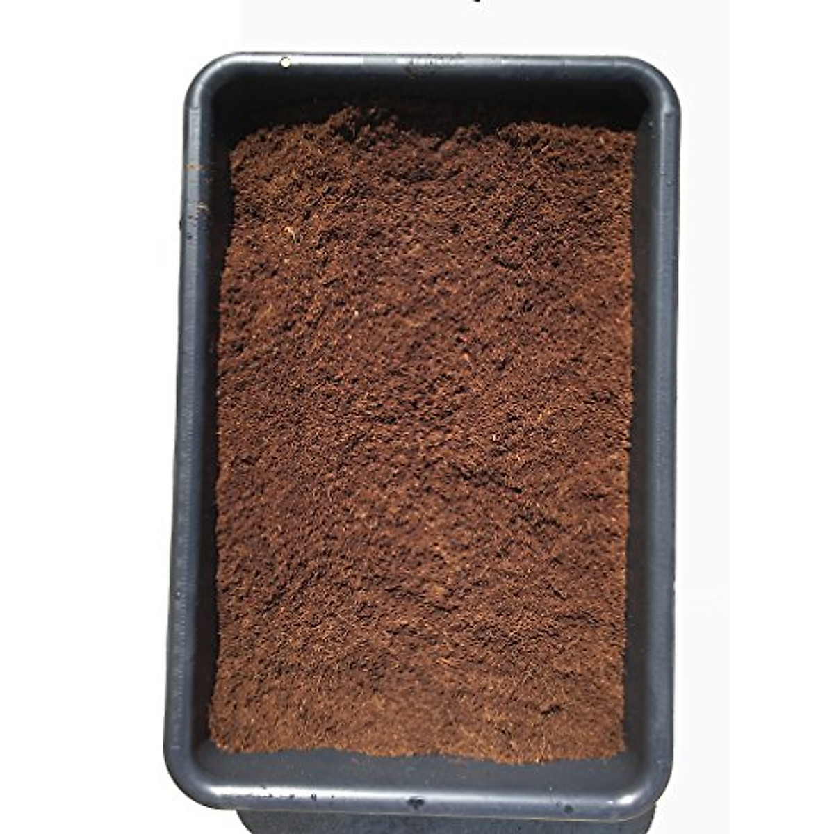 Nature's Premium Organic Coco Coir 1 Pound Brick, Garden Soil, Reptile Bedding, Hydroponics, Growing Medium, Aquaponics, Soil Amendment