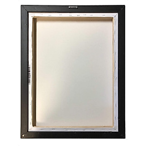 Itasca State Park Loon & Chick Professionally Framed Giclee Archival Canvas Wall Art for Home & Office by Artist Joanne Kollman 30" x 45"