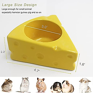 Zhilishu Hamster Food Bowl, 2 Packs Guinea Pig Food & Water Bowls Ceramic Cheese Shape Feeding Drinking Bowl Food Dish Prevent Moving for Small Animals Rabbit Bunny Gerbil Rat Mice (White)