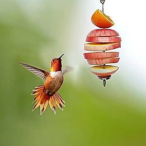 Bird Food Holder, Bird Feeder Toy, Foraging Toy, Bird Food Treat Skewer, Stainless Steel Parrot Fruit Vegetable Stick Holder (S)