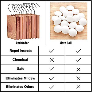 FOCCTS 20 Pcs Cedar Hangers Blocks, Natural Red Cedar Blocks for Clothes Storage, Cedar Hang Ups Set Household Protector, Aromatic Cedar Wood Hangers