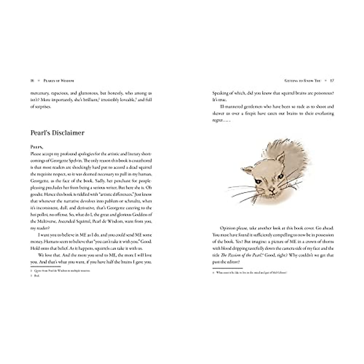 Pearls of Wisdom: Advice from a Dead Squirrel Who Knows Everything