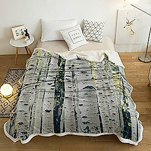 Plush Sherpa Fleece Throw Blanket Birch Trees Mottled Trunk Wilt Twigs Leaves Deciduous Woodland Warm Cozy Blanket,Soft Fuzzy Reversible Lightweight Blanket for Couch,Sofa and Bed 50x60 inch