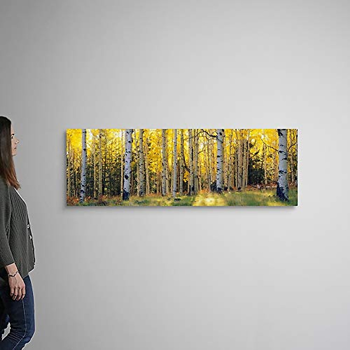 Aspen Trees in a Forest, Coconino National Forest, Arizona Canvas Wall Art Print, 60"x20"x1.25"