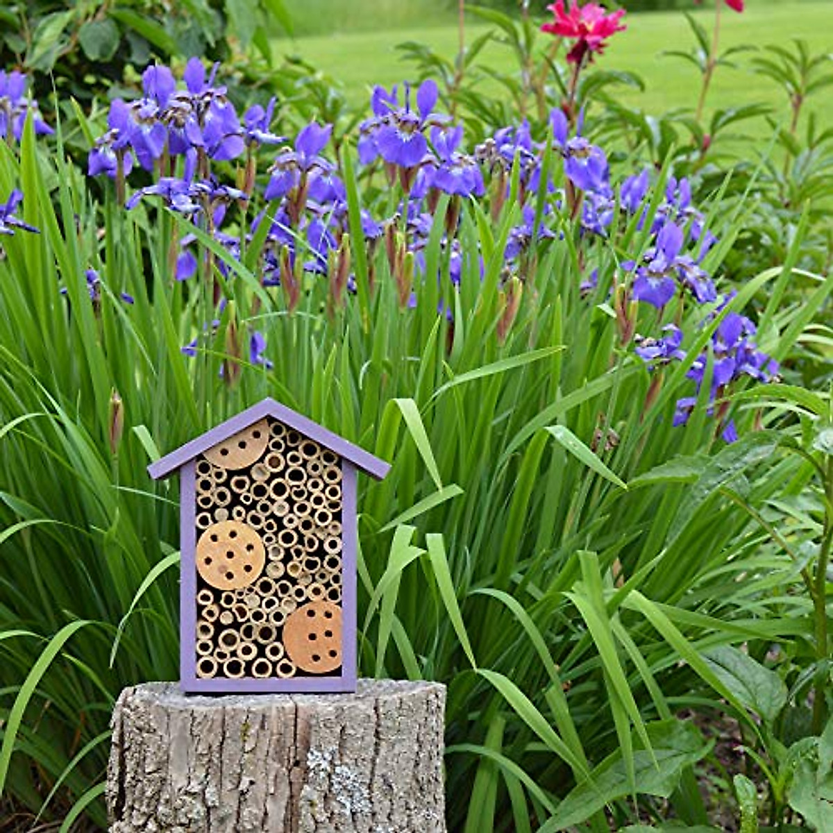 Nature's Way Bird Products PWH1-B Purple Bee House