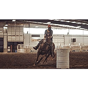 REDMOND Rock Crushed Loose Mineral Salt Electrolyte Supplement for Horses (25 LBS)