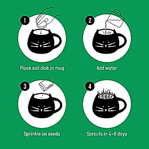The Cat Ladies Organic Cat Grass Growing kit with Seed Mix, Soil and Black Cat Planter. Natural Hairball Control and Digestion Remedy for Cats