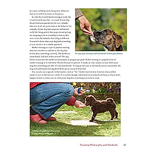 The Dog Behavior Problem Solver: Step-by-Step Positive Training Techniques to Correct More than 20 Problem Behaviors (CompanionHouse Books) Fix Barking, Separation Anxiety, Chewing, Begging, and More