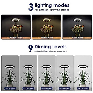 IMVSINCERE Plant Grow Light- LED Growing Light Full Spectrum for Indoor Plants- Adjustable Plants Growing Lamp with Auto On/Off Timer 3/9/12H and 10 Dimmable Brightness(Adapter Not Included)