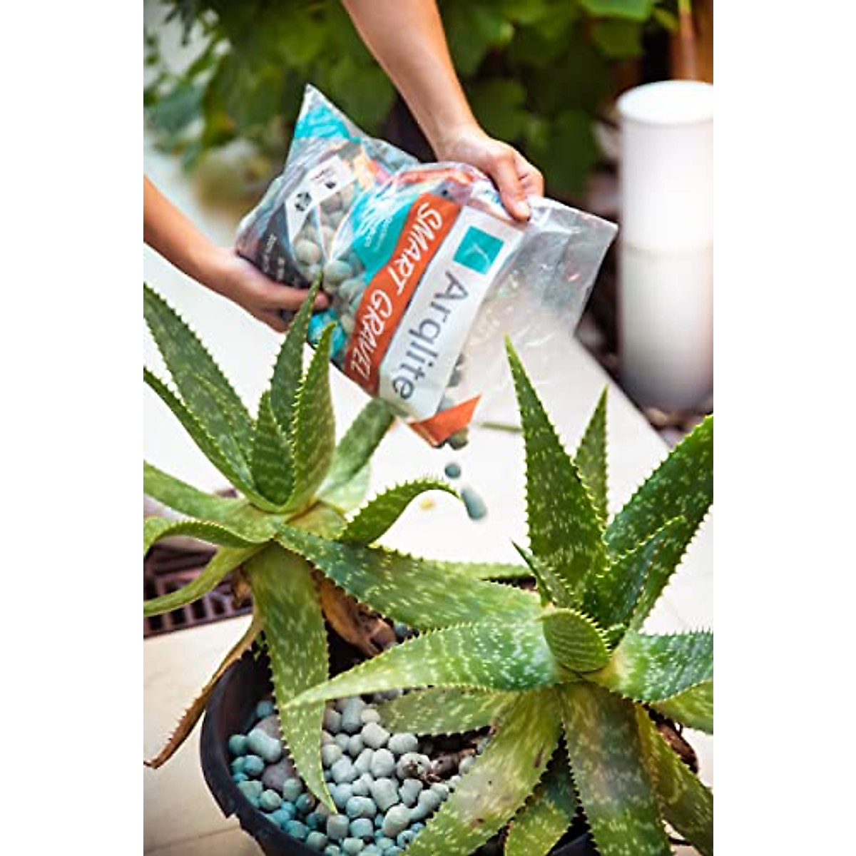 Arqlite Smart Gravel Eco Plant Drainage for Healthy Roots | for Pots, Houseplants, & Decor | Lightweight (1 Gal)