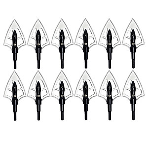 12Pcs Stainless Steel 100 Grain Broadheads 2 Blades Hunting Tips for Crossbow Compound Bow Archery Hunting