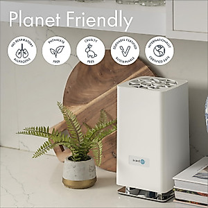 ScentAir Monthly Fragrance Cartridge for Whisper Home - Asian Garden