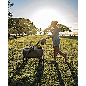 Baby Trend Expedition 2-in-1 Stroller Wagon PLUS, Ultra Grey