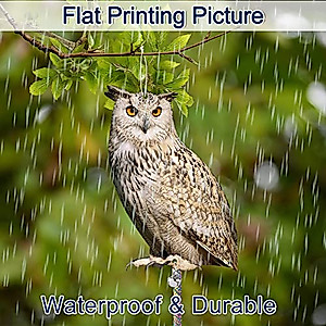 kungfu Mall Owls to Keep Birds Away, Fake Owl, Reflective Hanging Decoration Garden Owl Keep Birds Away from Garden Porch Roof Carport Garage 4PCS