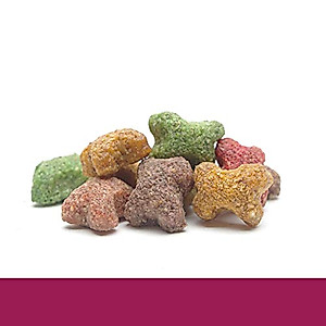 Living World Quinoa Bites, 2.1 Ounce