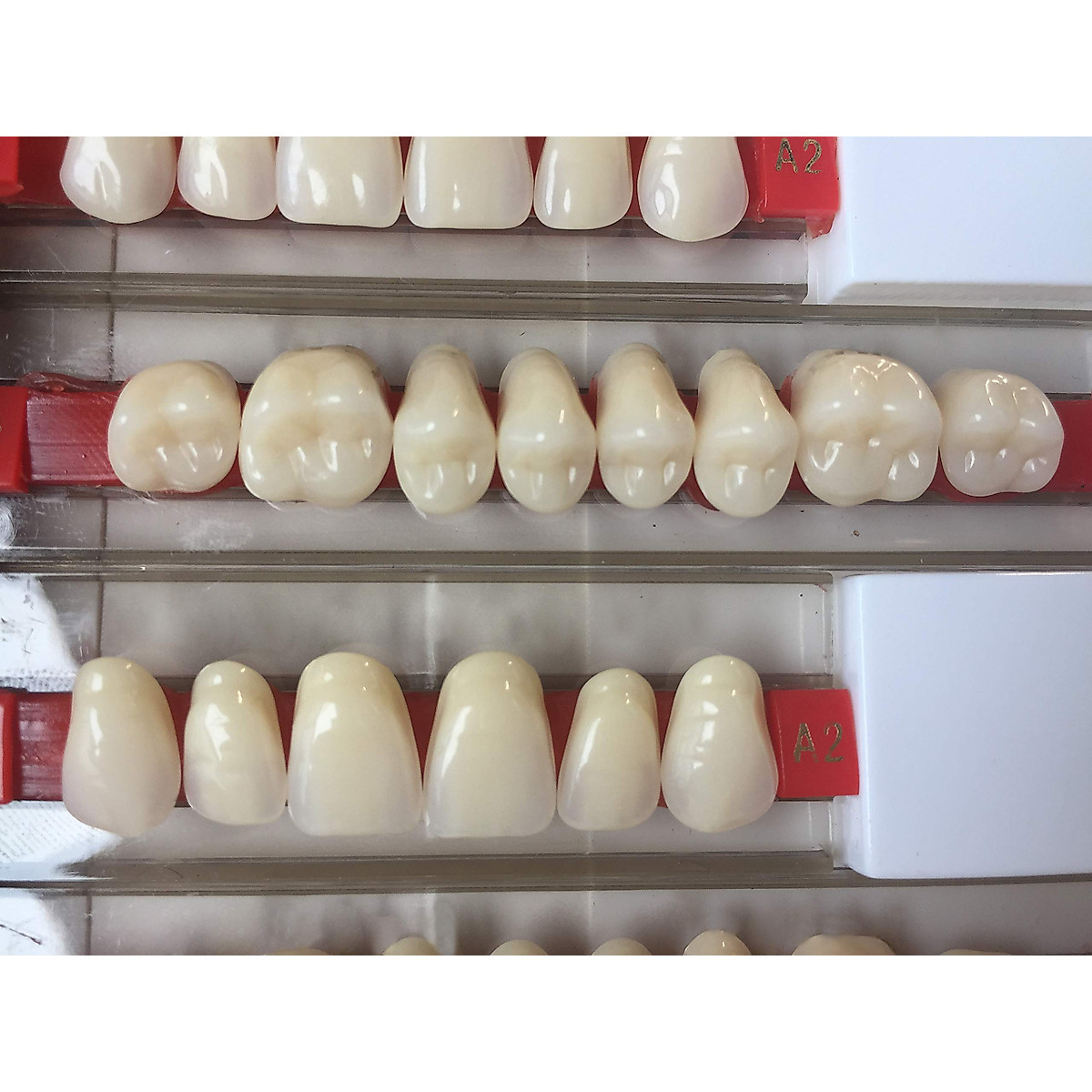 SDent® 2 Boxes 2 Layers Super Hard Synthetic Resin Teeth Multi-Layer Acrylic Composite False Teeth Denture Polymer Polymerial Materials & Full Set & A3 & 84PCS More Options on Size Name Chart