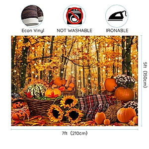 Thanksgiving Day Backdrop Birthday Autumn Maple Forest Leaves Pumpkin Friendsgiving Background Thanksgiving Party Gold Yellow DLH0D350UU 0