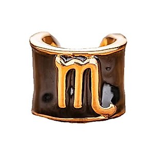 charMED Custom Stethoscope Charms - Scorpio Charm - Gifts for Nurses, Doctors, Veterinarians, Technicians, Surgeons & Healthcare Professionals - Metal 0.5" Ring Charm
