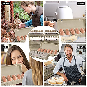 PerKoop 240 Pcs 2x6 Egg Cartons Bulk 1 Dozen Cardboard Egg Cartons Paper Pulp Egg Cartons for Farm Market Family Kitchen Storing Eggs, Chicken Eggs