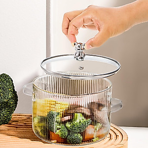 Jucoan 1.8L/60oz Glass Saucepan with Cover, Simmer Pot for Stovetop, Heat Resistant Glass Cooking Pot for Pasta Noodle, Soup, Milk, Christmas Home Fragrance Potpourri Cooking