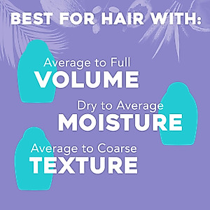 OGX Deeply Restoring + Pracaxi Recovery Oil AntiFrizz Deep Conditioning InShower Moisture Treatment with Murumuru Butter SulfateFree Surfactants Hair Mask to Nourish Restore, 6 Ounce