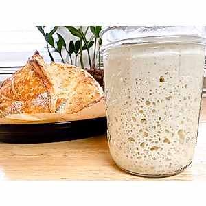 WWJD Worms 900 Year Old Organic Fresh Sourdough Starter Yeast Culture - Dutch/Wales Heritage Starter
