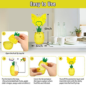 Fly Trap for Indoors, Fruit Fly Trap with Yellow Double Side Sticker, Fruit Fly Killer, Non-Toxic Fly Catcher Gnats Trap Comes with Fruit Fly Attractants for Home/Plant/Kitchen