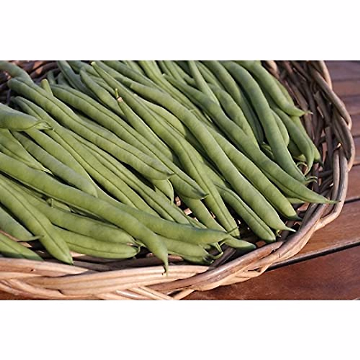 Bẻan SÉẸDS, Commodore Climbịng Bẻan SỆED, 25+ SÉẸDS, Gréen_Bẹans