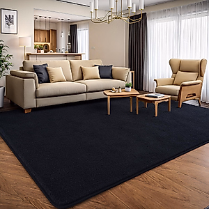 AROGAN Modern Shag Area Rug for Bedroom, 4x6 Feet Washable Rugs for Living Room, Indoor Floor Carpet Rugs, Plush Memory Foam Bedside Rugs for Kids Girls Teens Room Low Pile Rug Decor, Black