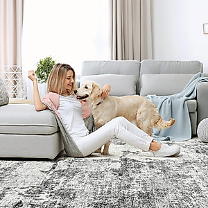 DMOYEST Living Room Area Rugs - 9x12 Abstract Large Soft Indoor Washable Rug Neutral Modern Low Pile Carpet for Bedroom Dining Room Farmhouse Home Office - Grey