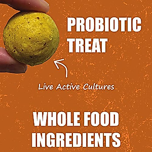 Whole Life Pet Human Grade Probiotic Dog Treats - Pumpkin & Yogurt – Easy Digestion, Firmer Stool, Sensitive Stomachs - Made in The USA