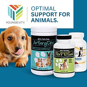 Chewable Dog Nutrition Companion i26 Puppies to Adults - 60 Beef Tabs