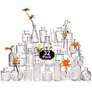 Arme Glass Bud Vase Set of 32 Pcs，Small Glass Vases for Flowers，Clear Bud Vases in Bulk，Vintage Vases for Centerpieces，Small Glass Bud Vase for Rustic Wedding Decorations，Home Table Flower Décor
