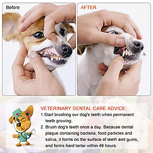 EASYA Double Headed Pet Dog Toothbrush for Small Dogs/Soft Bristles Puppy Long Handle Tooth Brush Dogs Teeth Cleaning/Bulk Toothbrushes Dental & Oral Care… (MIXED10)