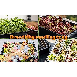 BeGrit Seed Starter Trays 5-Pack 15x12 inch Mesh Tray Plastic Plant Trays Garden Seedling Starter Kit Bonsai Training Pots Succulent Transport Pots with 5 Bases
