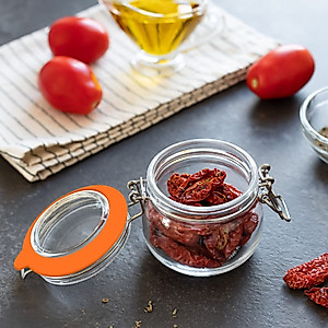 SAVITA 10 Pcs Silicone Gaskets for Storage Jars, 3.75 Inch Silicone Jar Gaskets Rubber Seals Mason Jar Seals Rubber Rings for Regular Glass Jars Mason Jars (Orange)