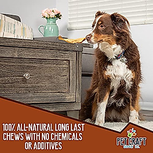 Pet Craft Supply Pure Natural Grass Fed Grain Free Water Buffalo Variety Pack of 11 Durable Tough Dog Chew for Aggressive Chewers and Puppies