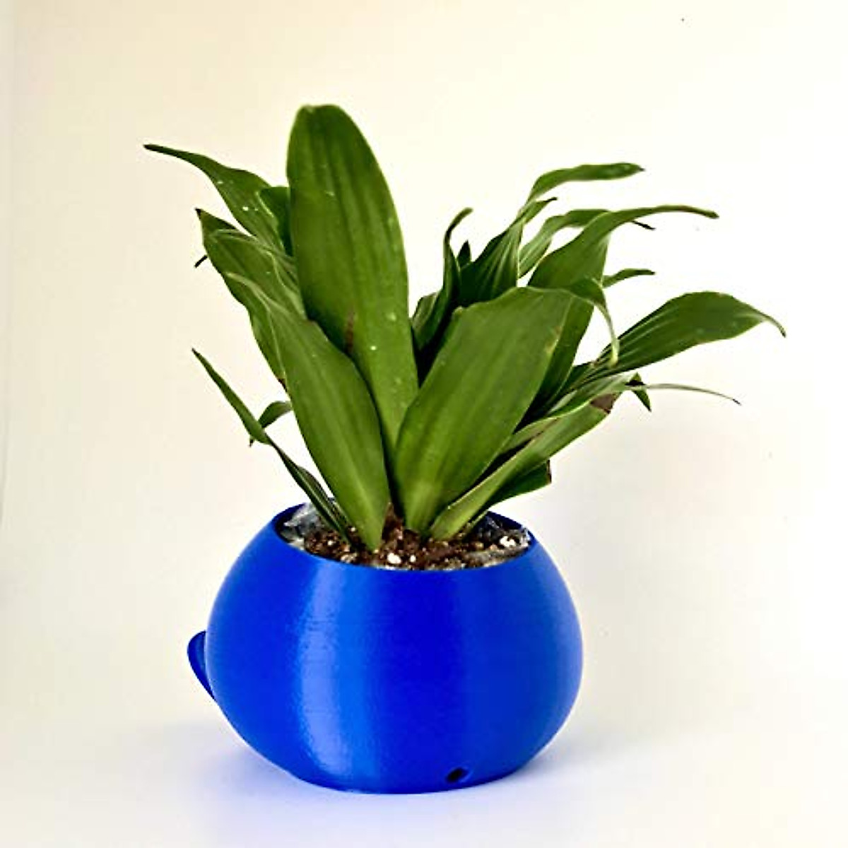 ONESHOT3D Oddissh Planter Flower Pot - Cute Gifts for Gamers and Fans