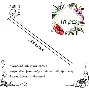 JJZJ 15.8 Inches Single Stem Plant Support Stakes Steel Garden Stakes, Pack of 10