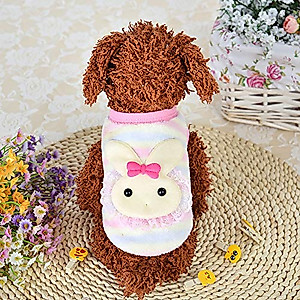 Dog Clothes for Small Dogs Girl Dress Striped Pet Winter Apparel and Home Autumn Pet Clothes Small Dog