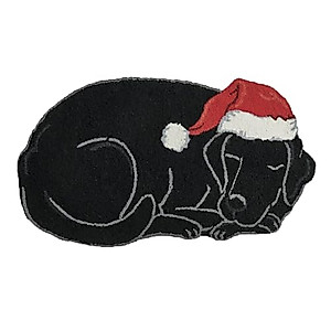 Christmas Dog Rug, 35×20'' Fun Dog Carpet Door Mat, Non Slip Washable Welcome Door Mat, Cute Christmas Winter Doormats for Indoor Outdoor Entrance Home Bathroom Bathroom Living Room (C)