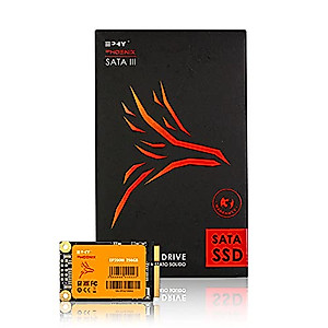 EPHY Phoenix mSATA SATA3 SSD 6Gb/s EP200M (256 GB, mSATA SSD)